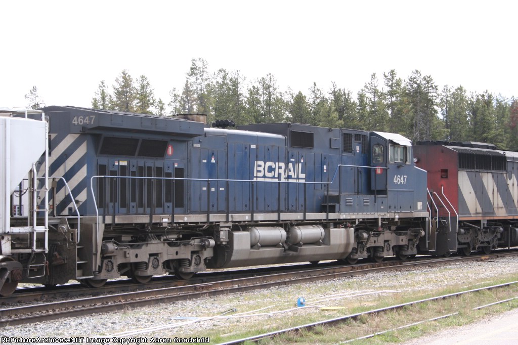 BCOL 4647